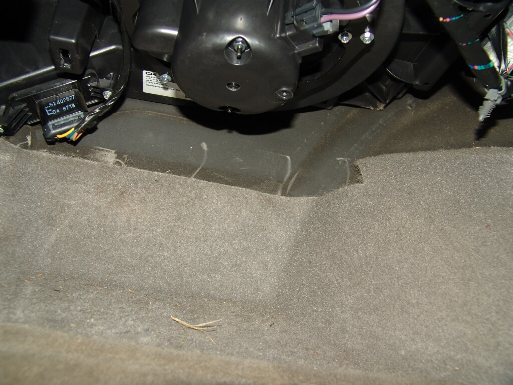 DSC00961 - Sparky's Answers